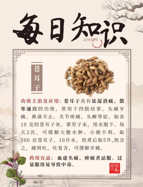 鼻炎偏方香油苍耳子有效吗_怎么用-第1张图片-山城妙识