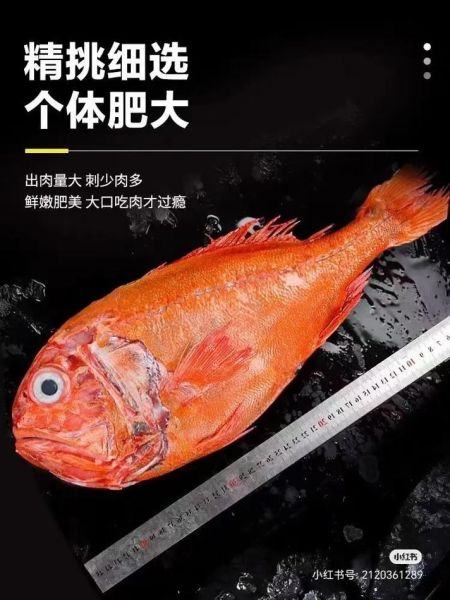 长寿鱼不能和什么一起吃_孕妇可以吃长寿鱼吗-第3张图片-山城妙识 长寿鱼不能和什么一起吃_孕妇可以吃长寿鱼吗-第3张图片-山城妙识