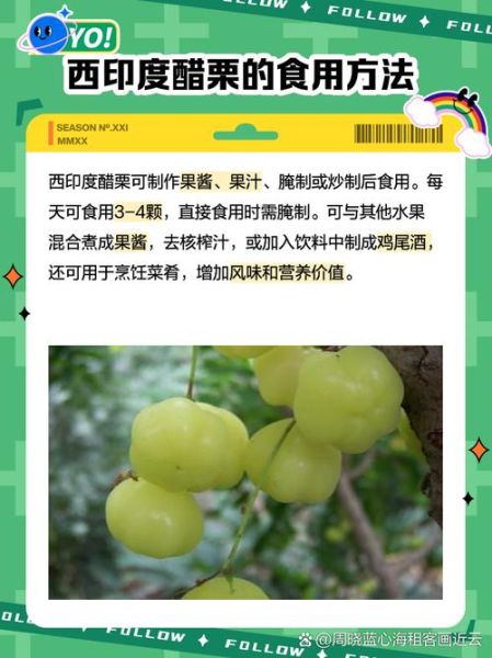 醋栗的功效与作用_醋栗图片怎么区分真假-第2张图片-山城妙识