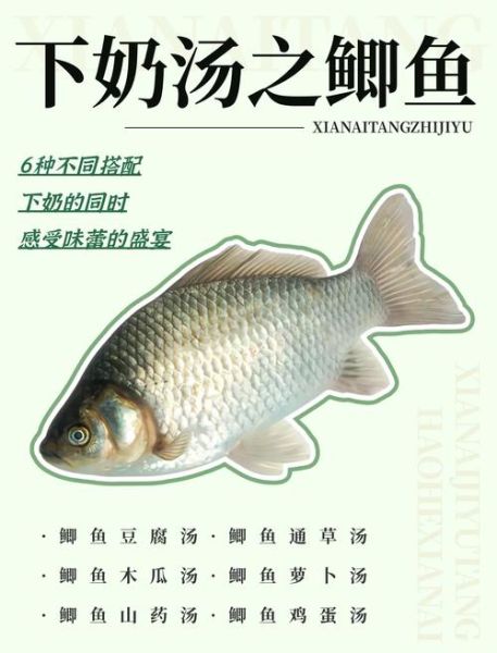 鲫鱼汤怎么炖好喝_鲫鱼汤去腥增鲜技巧-第1张图片-山城妙识