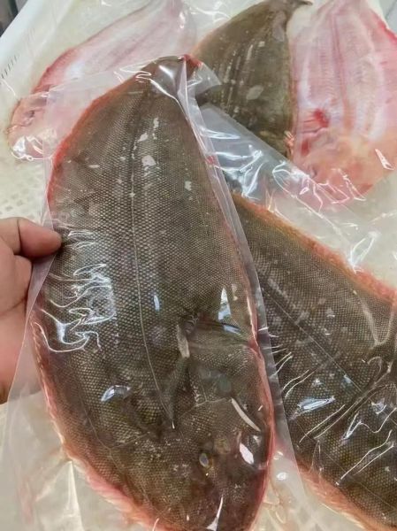 龙利鱼多少钱一斤_龙利鱼价格为什么差别大-第1张图片-山城妙识