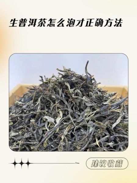 生普洱茶怎么泡_生普洱茶的正确喝法-第2张图片-山城妙识