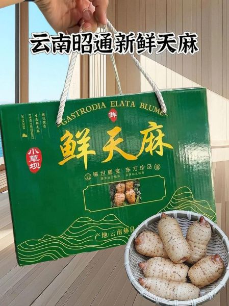 新鲜天麻多少钱一斤_新鲜天麻价格行情-第2张图片-山城妙识