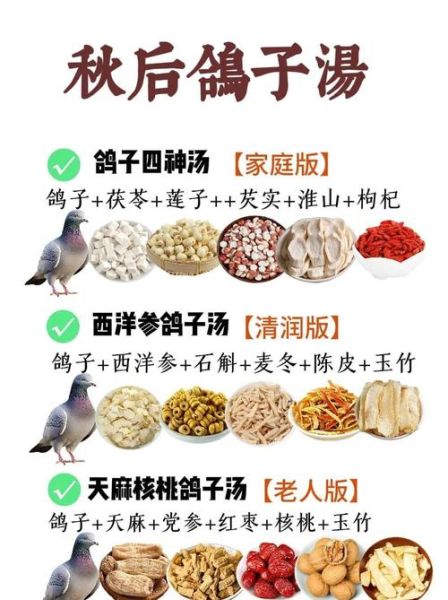 鸽子汤怎么炖好喝_鸽子汤的家常做法大全-第3张图片-山城妙识