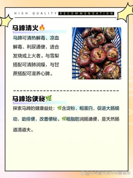 马蹄的营养价值_马蹄可以生吃吗-第1张图片-山城妙识