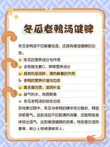 鸭子汤的功效与作用_适合什么人喝-第1张图片-山城妙识