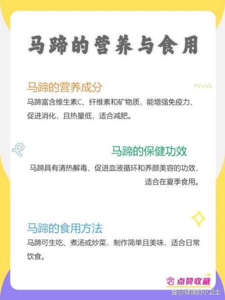 马蹄的营养价值_马蹄可以生吃吗-第2张图片-山城妙识