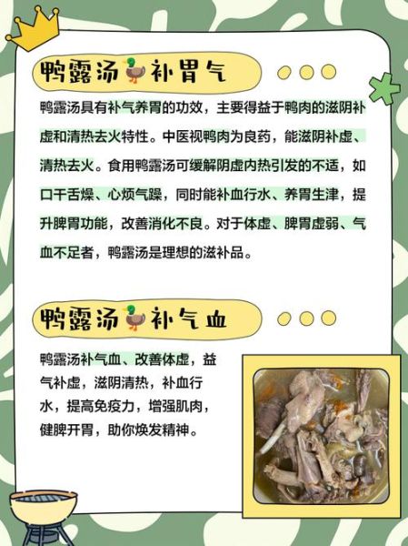 鸭子汤的功效与作用_适合什么人喝-第2张图片-山城妙识