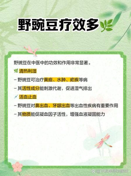 野豌豆的功效与作用_野豌豆怎么吃效果最好-第2张图片-山城妙识