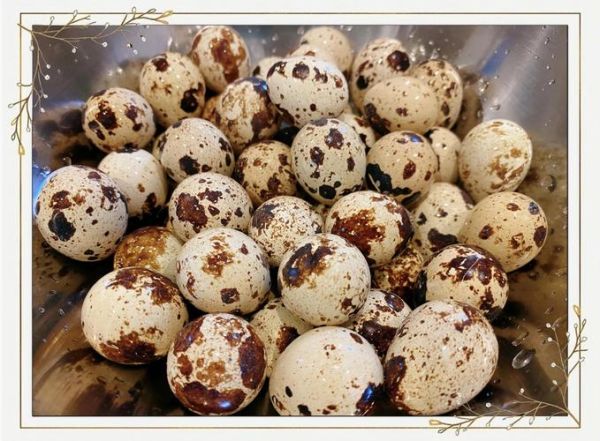 鹌鹑蛋怎么做好吃_鹌鹑蛋的营养价值高吗-第1张图片-山城妙识 鹌鹑蛋怎么做好吃_鹌鹑蛋的营养价值高吗-第1张图片-山城妙识