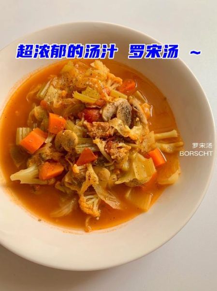 广东罗宋汤怎么做_正宗广东罗宋汤的做法步骤-第3张图片-山城妙识