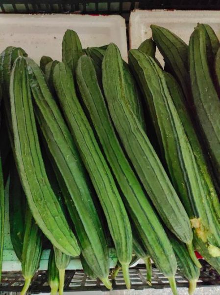 丝瓜品种图片大全_哪种丝瓜最好吃-第1张图片-山城妙识