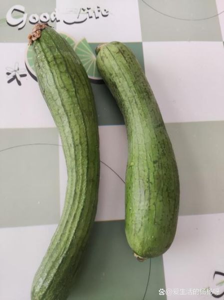 丝瓜品种图片大全_哪种丝瓜最好吃-第3张图片-山城妙识