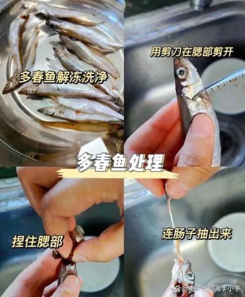 多春鱼怎么去内脏_多春鱼清理内脏最简单方法-第1张图片-山城妙识