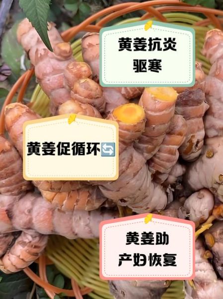 黄姜怎么吃_黄姜的吃法大全-第2张图片-山城妙识