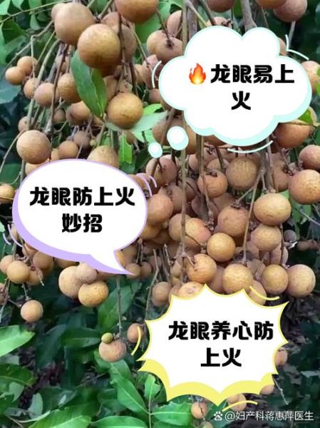 龙眼吃多了会怎么样_会上火吗-第1张图片-山城妙识
