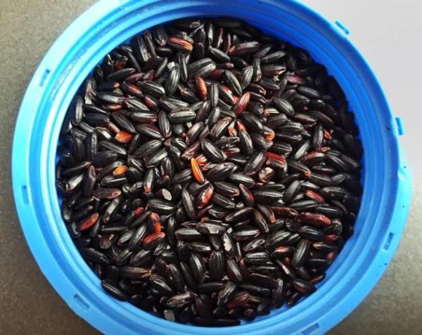 黑米八宝粥怎么做_黑米八宝粥需要泡多久-第1张图片-山城妙识 黑米八宝粥怎么做_黑米八宝粥需要泡多久-第1张图片-山城妙识