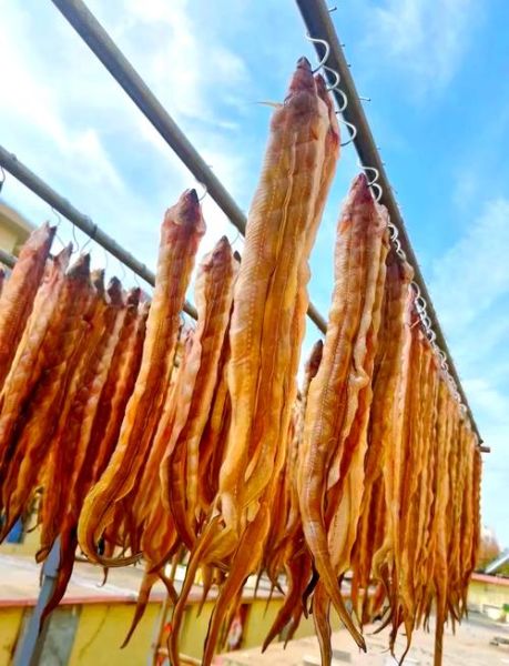 鳗鱼干怎么吃_鳗鱼干怎么泡发-第1张图片-山城妙识 鳗鱼干怎么吃_鳗鱼干怎么泡发-第1张图片-山城妙识