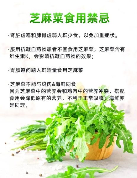 芝麻菜什么时候种_芝麻菜种植月份-第1张图片-山城妙识