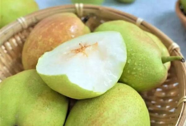 香梨怎么挑选_香梨产地哪里最好-第3张图片-山城妙识 香梨怎么挑选_香梨产地哪里最好-第3张图片-山城妙识