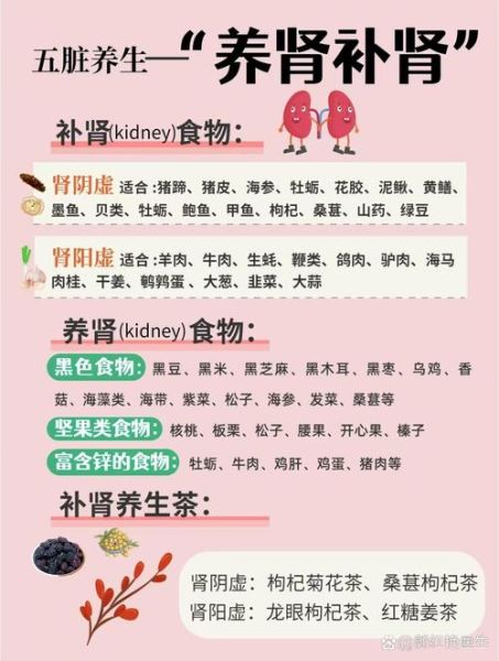 补肾吃什么好_肾虚食补方法-第2张图片-山城妙识