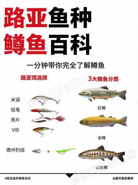 鳟鱼图片大全_鳟鱼品种怎么区分-第1张图片-山城妙识 鳟鱼图片大全_鳟鱼品种怎么区分-第1张图片-山城妙识