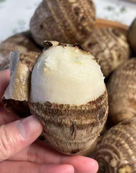 香芋热量高吗_减肥能吃香芋吗-第3张图片-山城妙识