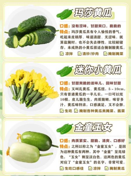 菜瓜是什么瓜_菜瓜和黄瓜的区别-第3张图片-山城妙识