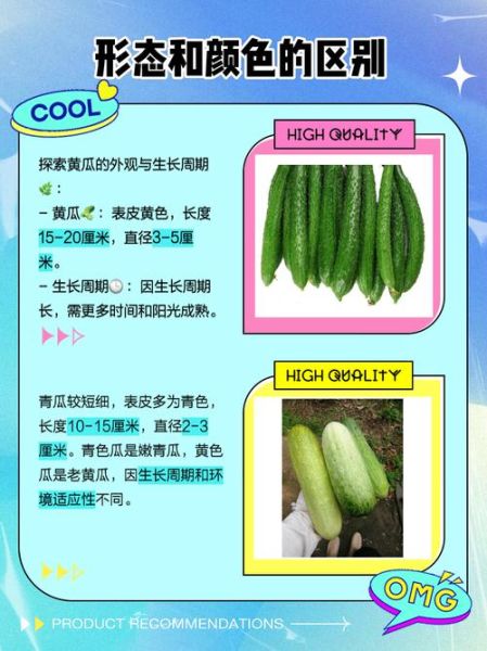 菜瓜是什么瓜_菜瓜和黄瓜的区别-第1张图片-山城妙识