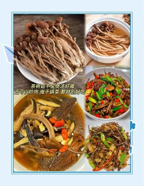 茶树菇的营养价值_茶树菇怎么吃最健康-第2张图片-山城妙识