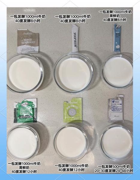 酸奶发酵剂哪里买_家用酸奶菌粉哪里有卖-第3张图片-山城妙识 酸奶发酵剂哪里买_家用酸奶菌粉哪里有卖-第3张图片-山城妙识