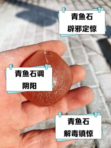 青鱼石是什么_青鱼石有什么作用-第2张图片-山城妙识 青鱼石是什么_青鱼石有什么作用-第2张图片-山城妙识
