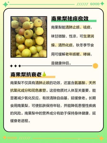南果梨的功效与作用_南果梨怎么吃最营养-第1张图片-山城妙识 南果梨的功效与作用_南果梨怎么吃最营养-第1张图片-山城妙识
