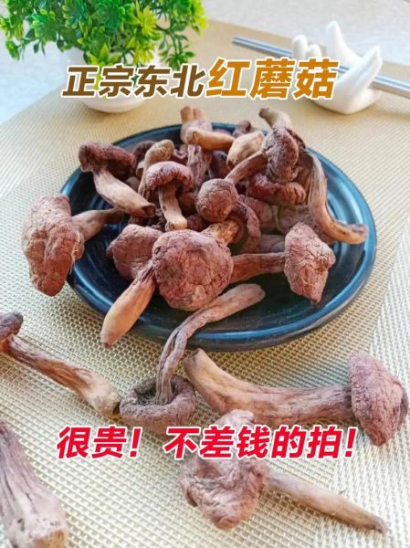 东北红蘑菇多少钱一斤_东北红蘑菇怎么做好吃-第1张图片-山城妙识