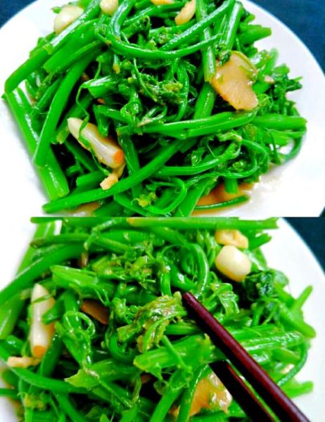 龙须菜的营养价值有哪些_龙须菜怎么吃最好-第1张图片-山城妙识