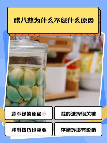 腊八蒜为什么不绿_腊八蒜变绿失败原因-第1张图片-山城妙识