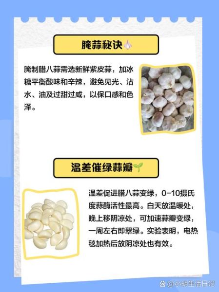 腊八蒜为什么不绿_腊八蒜变绿失败原因-第3张图片-山城妙识