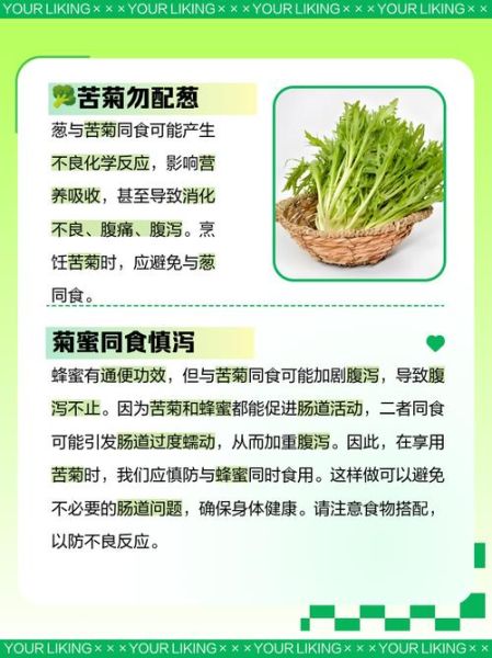 苦菊生吃有毒吗_苦菊生吃安全吗-第2张图片-山城妙识