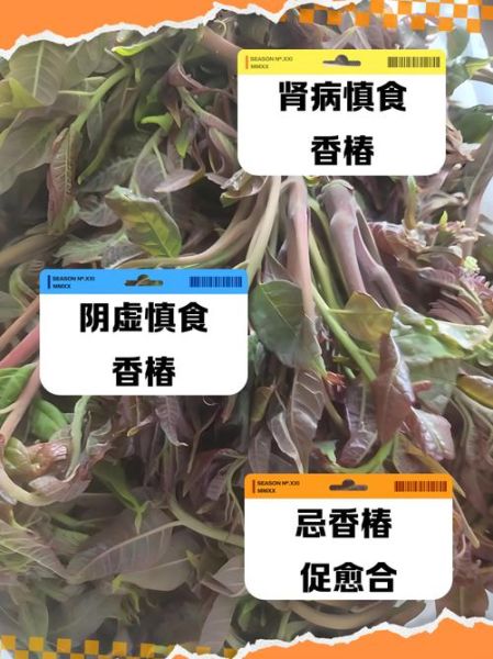 香椿的功效与禁忌_哪些人不能吃-第1张图片-山城妙识