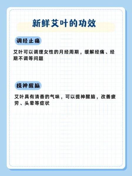 艾蒿的功效与作用主治什么病_艾蒿能治疗哪些常见病-第3张图片-山城妙识