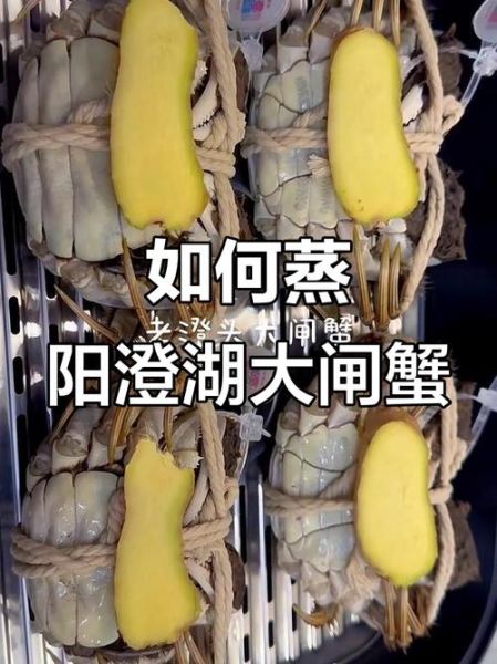 阳澄湖大闸蟹做法大全_清蒸还是香辣-第3张图片-山城妙识