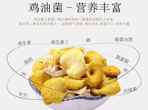 黄丝菌多少钱一斤_黄丝菌价格行情-第1张图片-山城妙识 黄丝菌多少钱一斤_黄丝菌价格行情-第1张图片-山城妙识