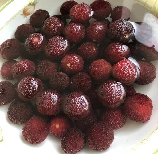 杨梅干怎么做才好吃_杨梅干制作窍门视频-第1张图片-山城妙识