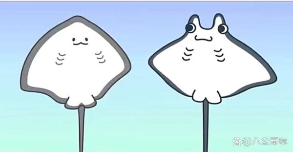 魟鱼_鳐鱼_蝠鲼的区别是什么-第1张图片-山城妙识