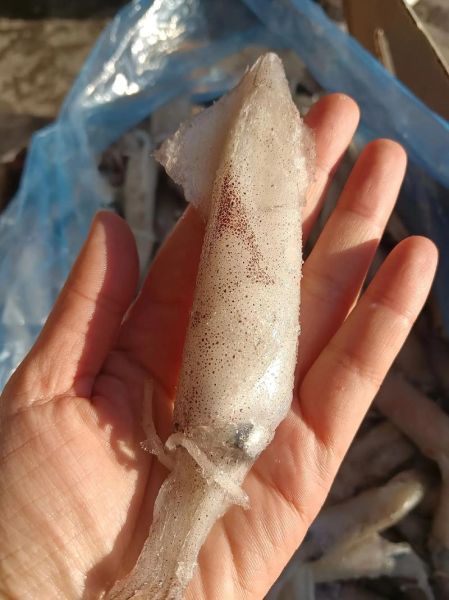 海兔影院开车了是什么意思_海兔影院最新地址怎么找-第1张图片-山城妙识