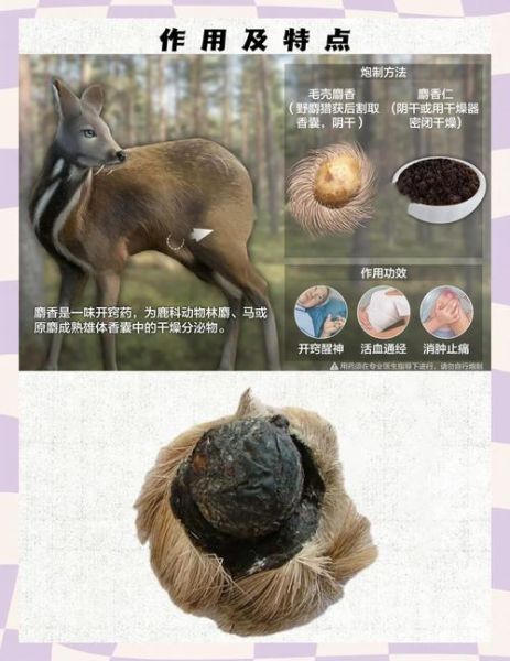 麝香的功效与作用_麝香有哪些副作用-第1张图片-山城妙识