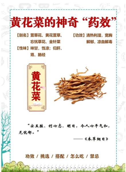 黄花菜怎么吃最安全_新鲜黄花菜去毒方法-第3张图片-山城妙识