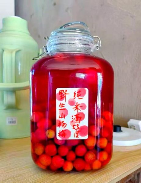 杨梅酒怎么泡才正宗_杨梅酒制作窍门-第2张图片-山城妙识