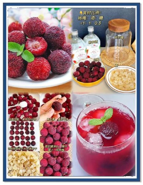 杨梅酒怎么泡才正宗_杨梅酒制作窍门-第3张图片-山城妙识