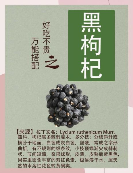 黑枸杞骗局是真的吗_黑枸杞功效真相-第2张图片-山城妙识 黑枸杞骗局是真的吗_黑枸杞功效真相-第2张图片-山城妙识